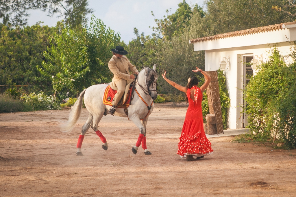 Baile con caballos en Bodas - Field and Horse